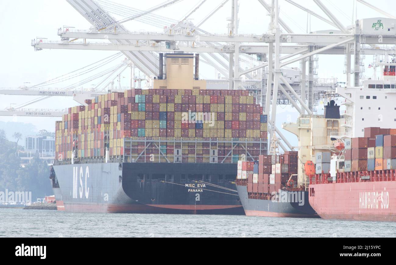 Oakland, CA - Feb 14, 2022: MSC cargo ship MSC EVA loading at the Port ...