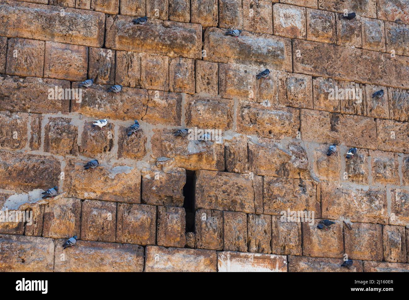 The ancient wall is paved with gray stones with doves. stone texture ...