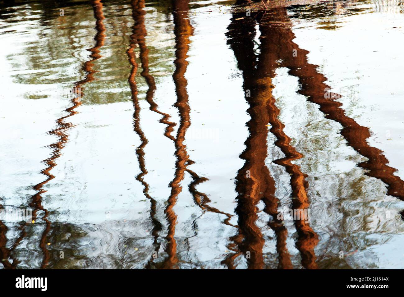 Reflection on water surface Stock Photo - Alamy