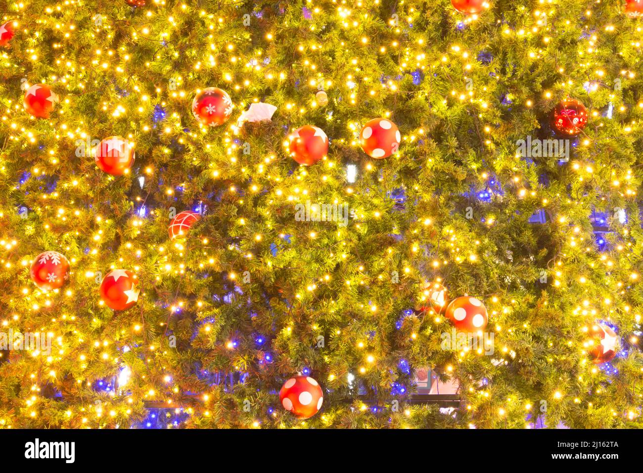 Decorative Christmas tree with red ball and light background Stock ...