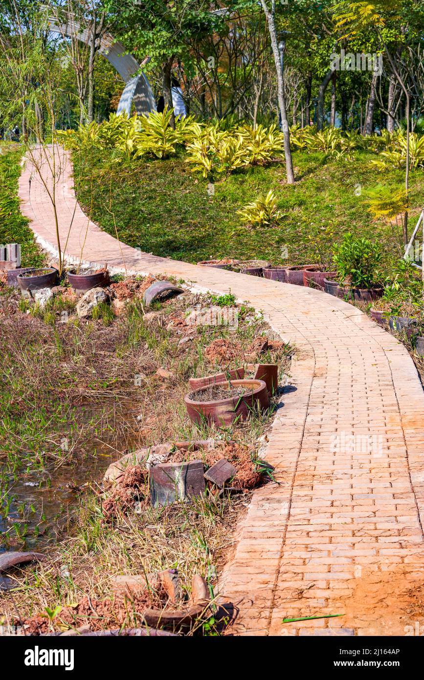 Plant public domain hi-res stock photography and images - Alamy