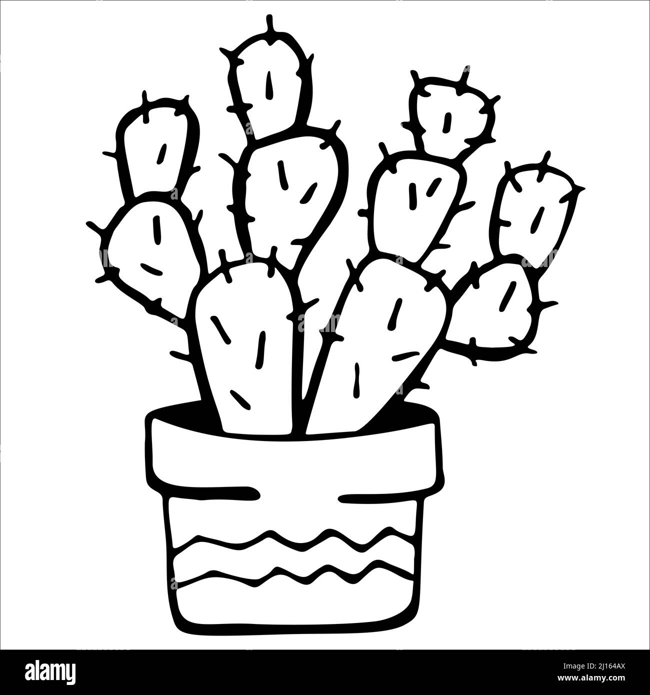 Mexican hand tree Black and White Stock Photos & Images - Alamy