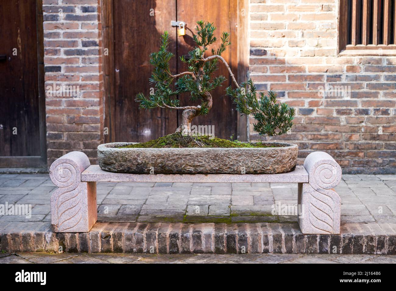 Stone flower pots for planting potted plants in a Chinese garden Stock ...