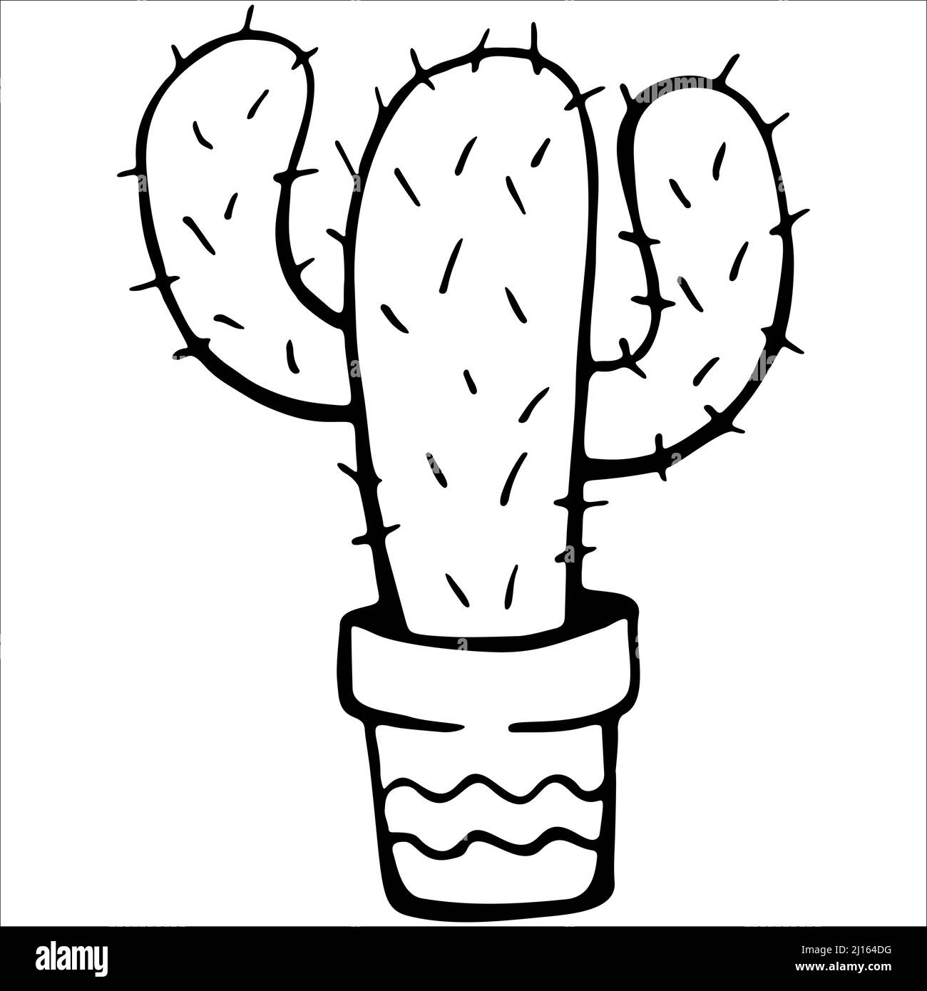 Mexican hand tree Black and White Stock Photos & Images - Alamy