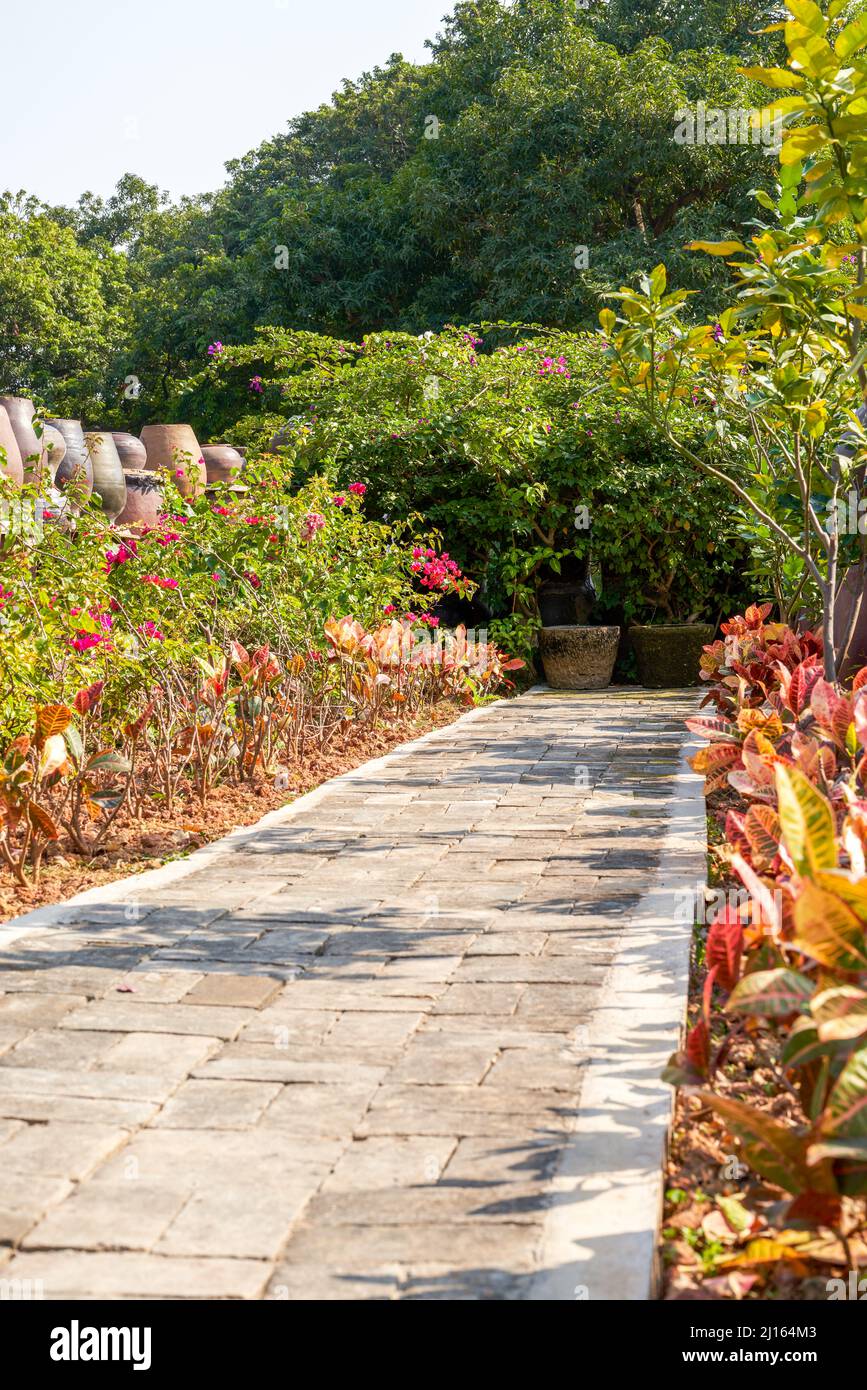 Public domain plant hi-res stock photography and images - Alamy