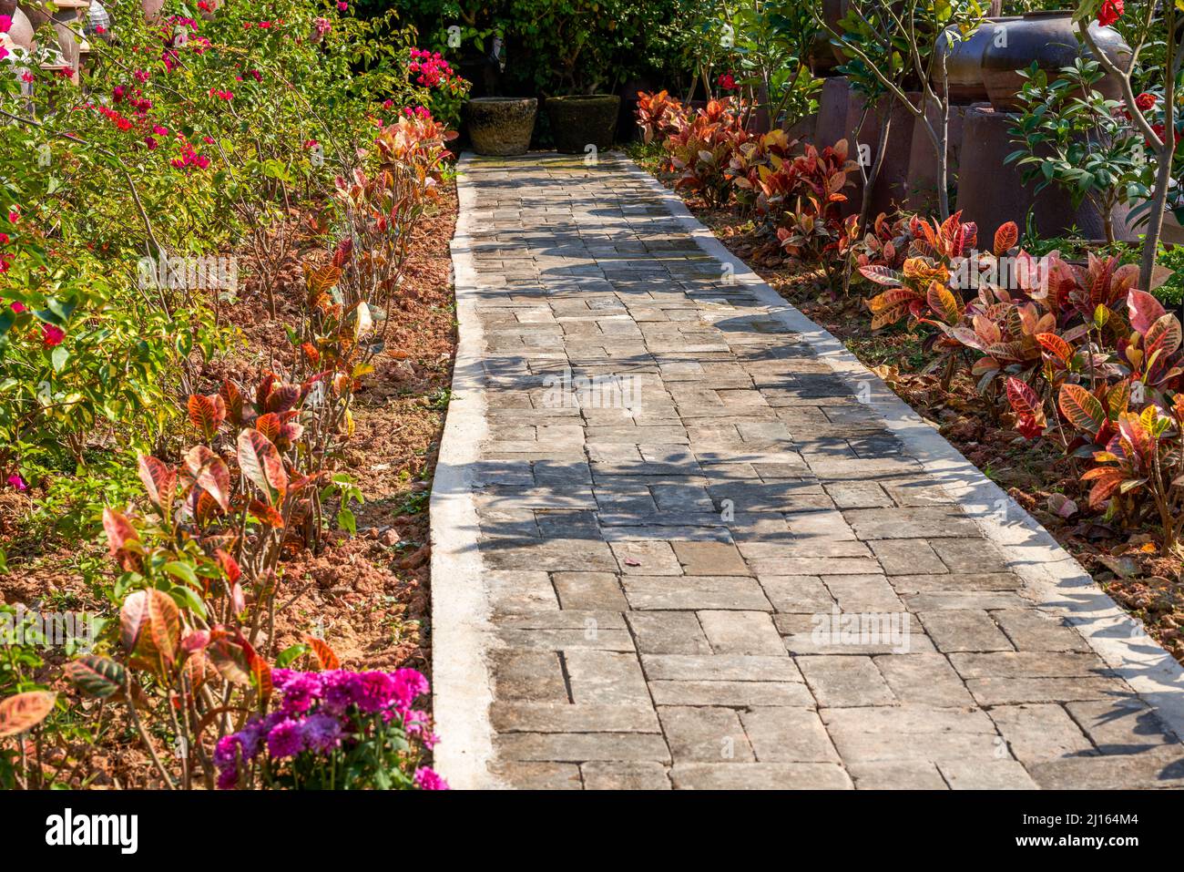 Public domain plant hi-res stock photography and images - Alamy