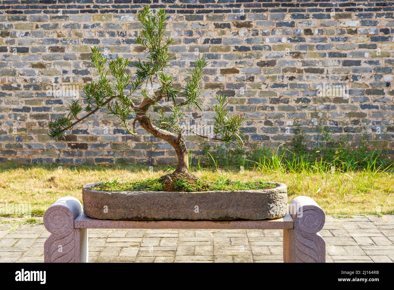 Stone flower pots for planting potted plants in a Chinese garden Stock ...