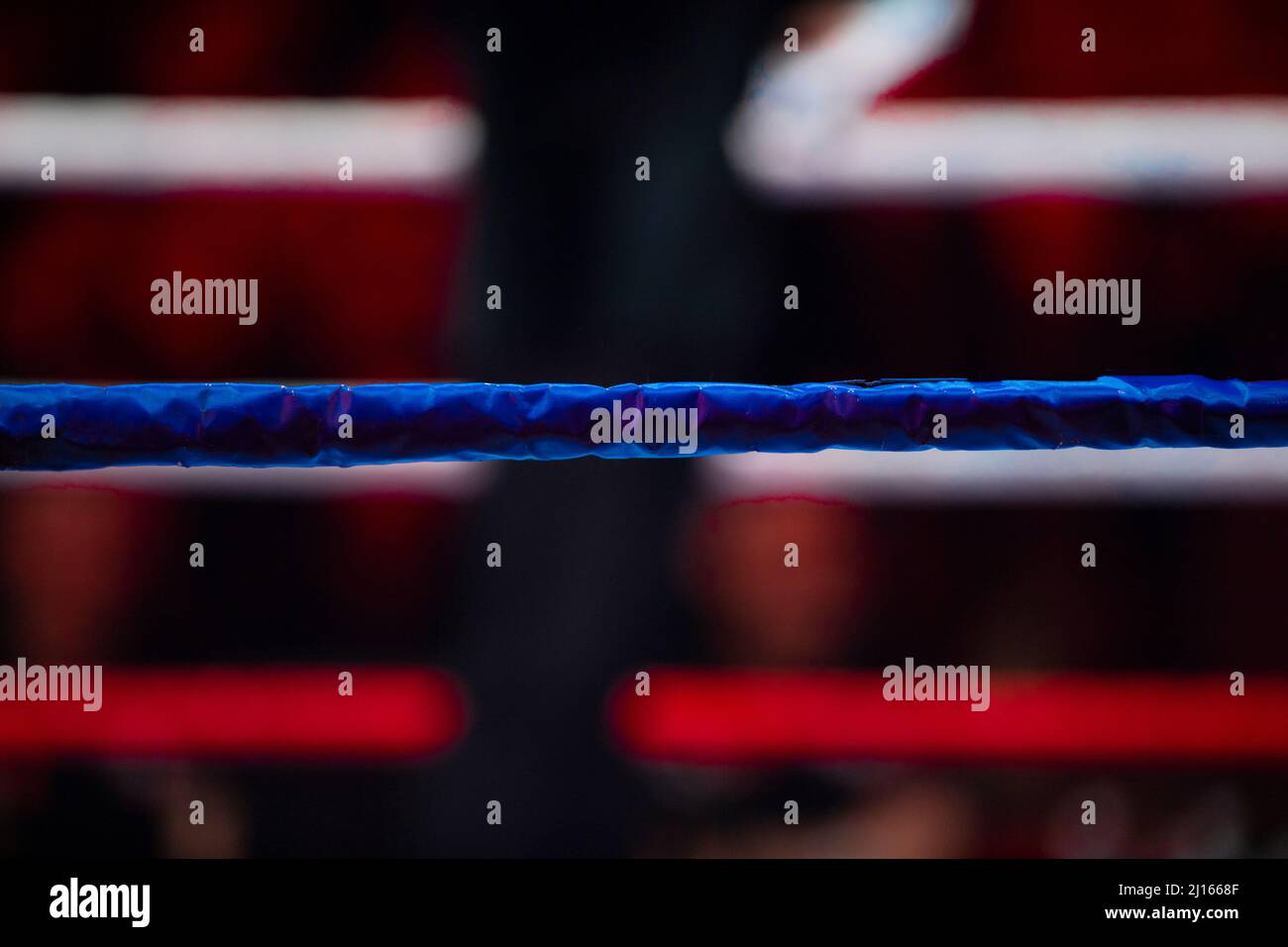 Empty professional boxing ring hi-res stock photography and images - Alamy
