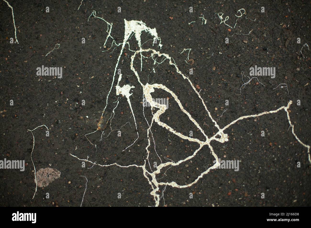 Paint on asphalt. Splashes of white paint on road. Soiled surface ...