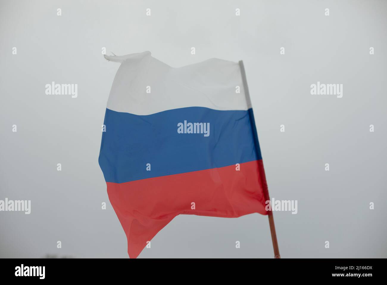 Flag of Russia. Symbol of Russian Federation. Combination of white blue ...