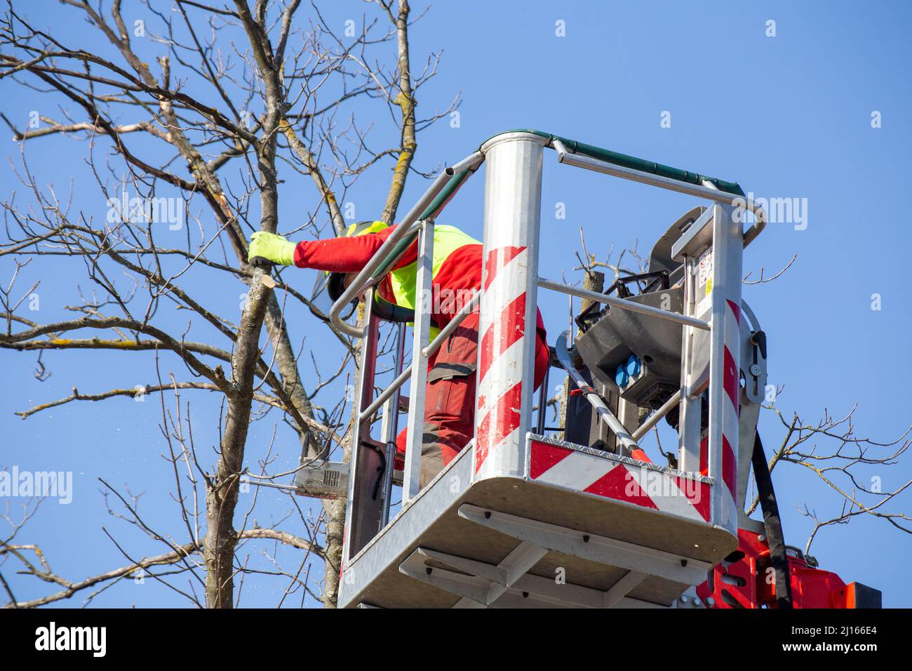 Man on the working platform pruning trees Stock Photo - Alamy