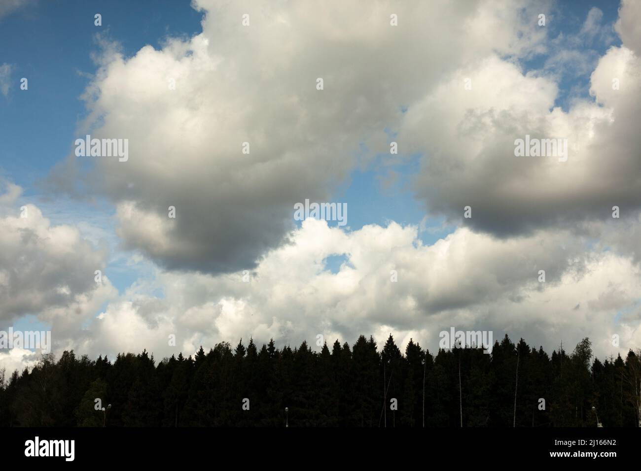 Flight over misty forest dawn hi-res stock photography and images - Alamy