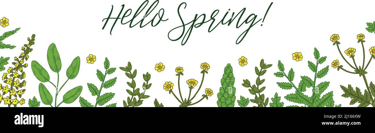 Hello Spring banner with green floral elements. Hand drawn vector ...
