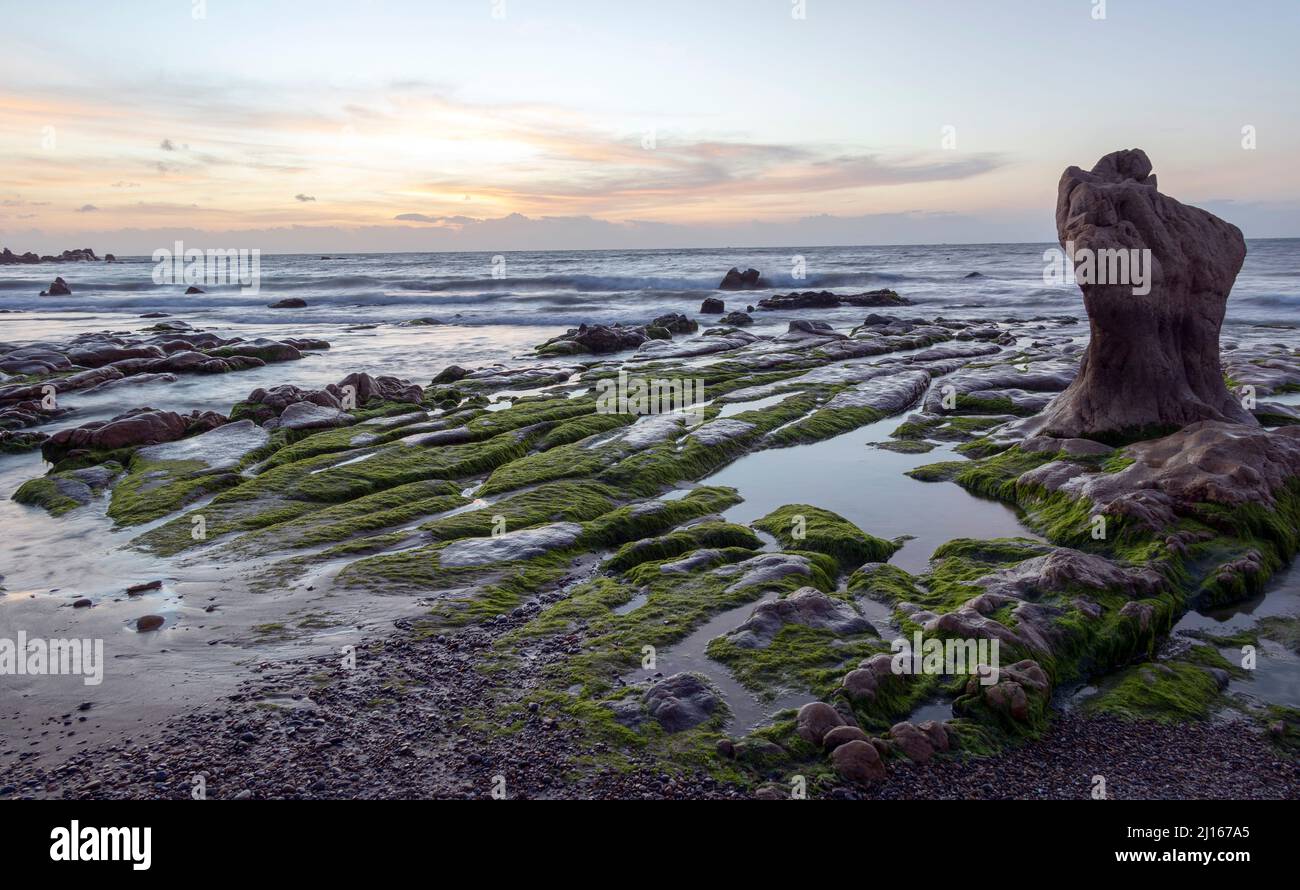 moss season on ancient stone beach Stock Photo - Alamy