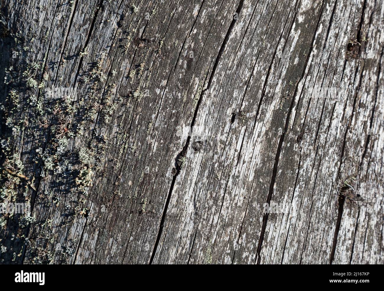 Old antique wooden texture hi-res stock photography and images - Alamy