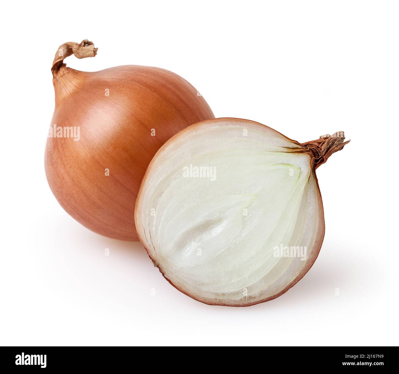 Onion bulbs isolated on white background with clipping path Stock Photo ...