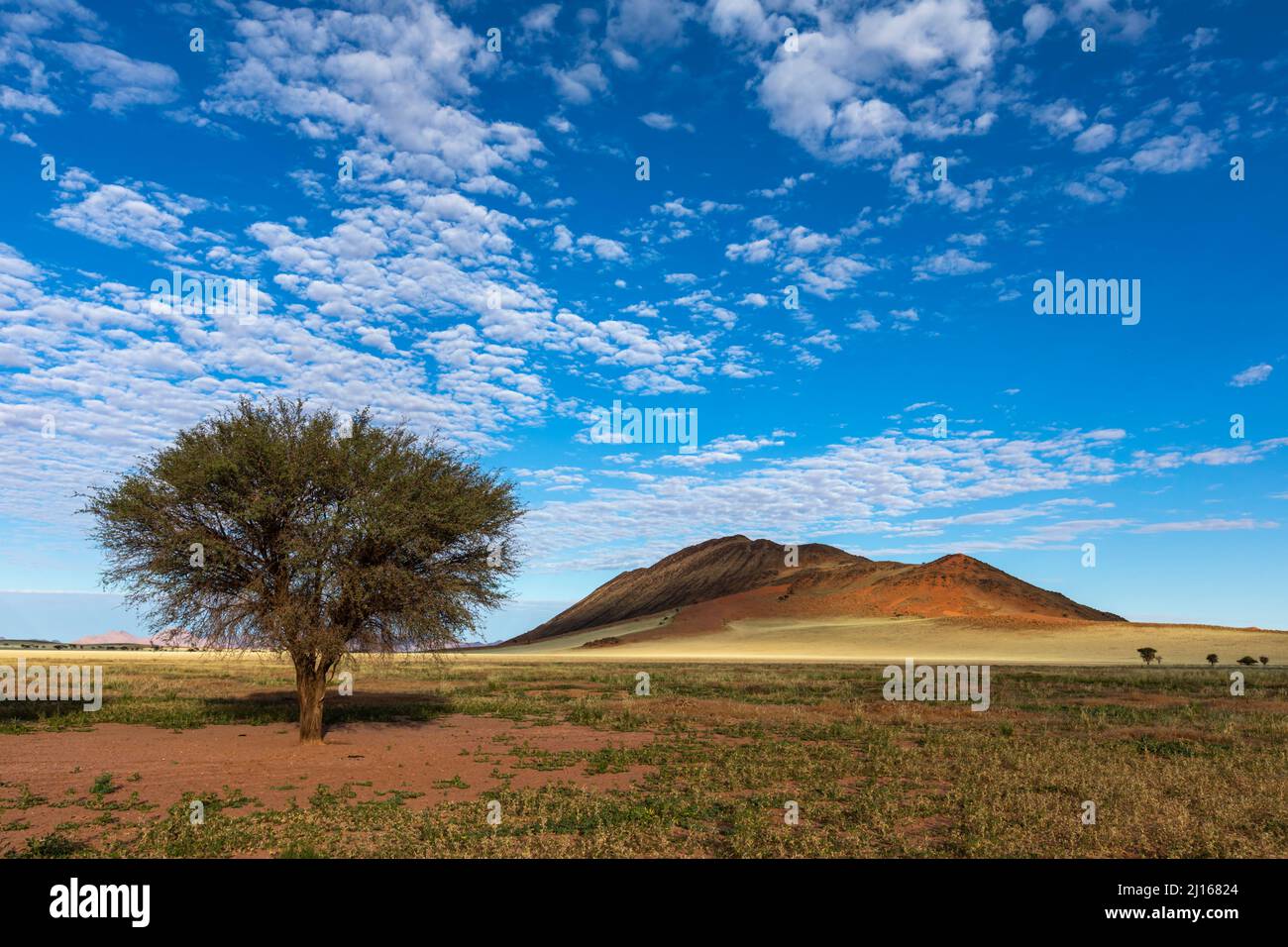 Altocumulus clouds against blue sky Namib Desert Namibia Stock Photo ...