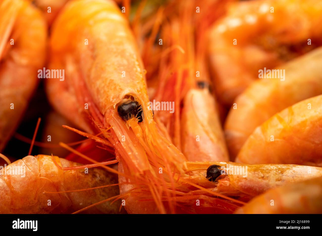 Atlantic shrimp cooked with allspice and bay leaf close-up, surface ...