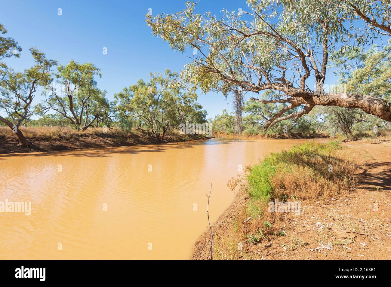 Combo waterhole hi-res stock photography and images - Alamy