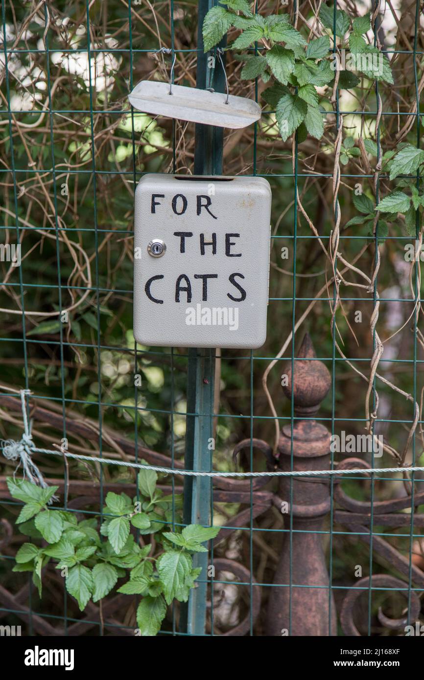 For the cats sign Stock Photo - Alamy
