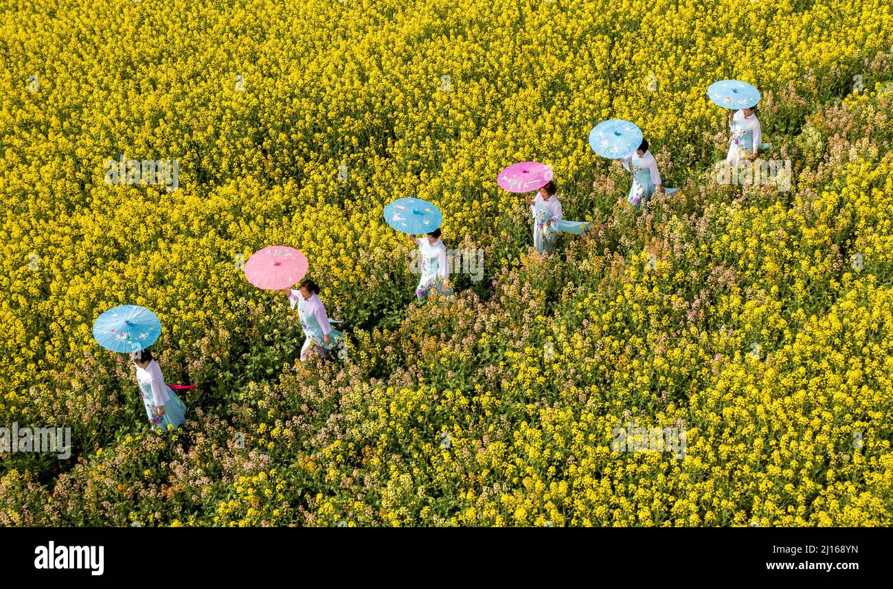 HAIAN, CHINA - MARCH 23, 2022 - Villagers wearing cheongsam show in a ...