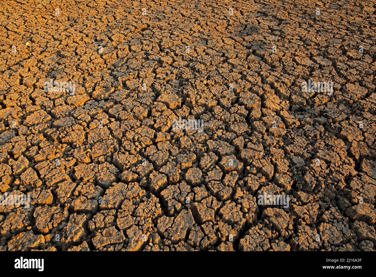 Dry lake, Mana Pools NP, Zimbabwe. Hot season in Africa. Dry summer ...