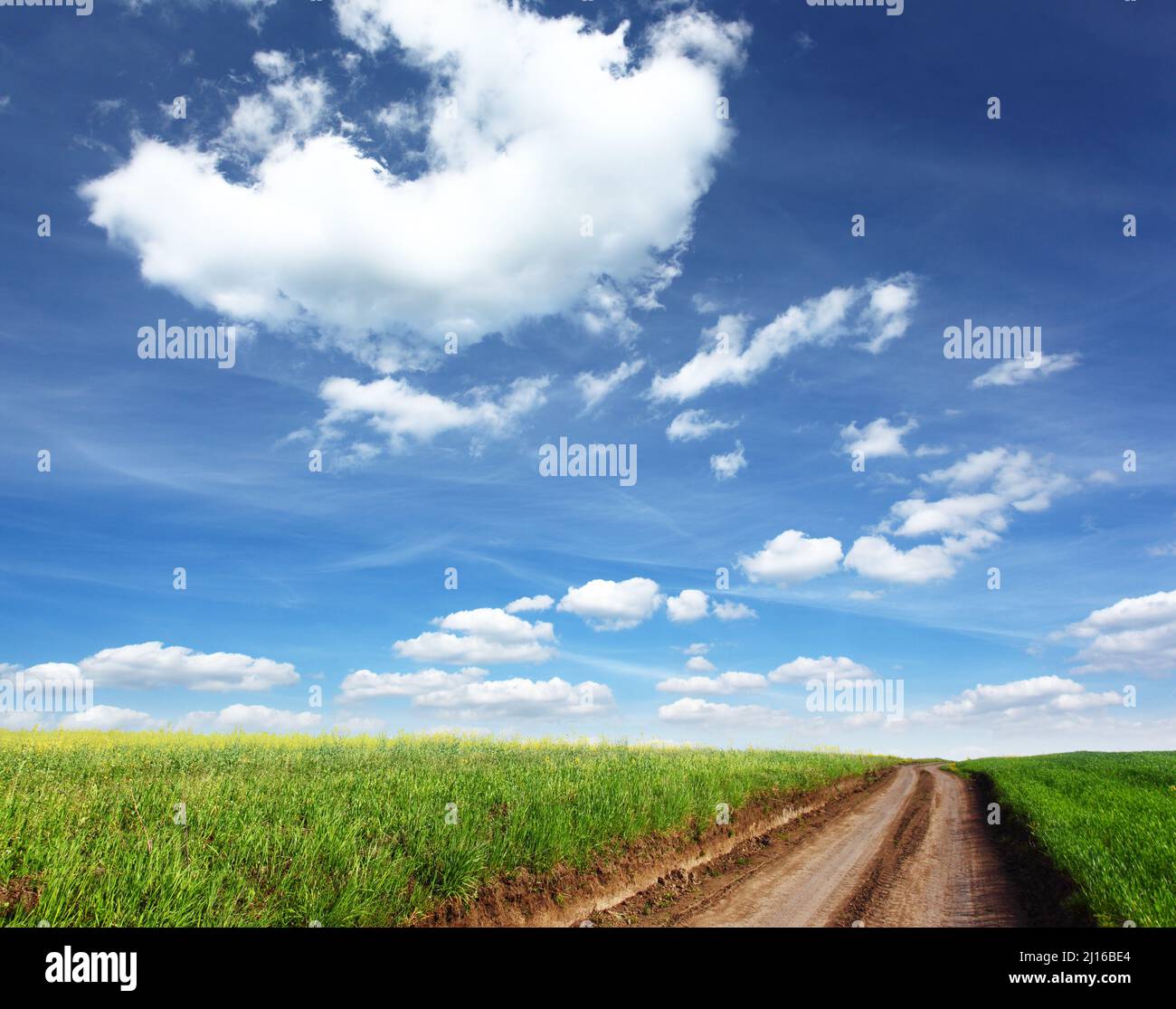 Beautiful spring field with a green grass and the beautiful sky Stock ...