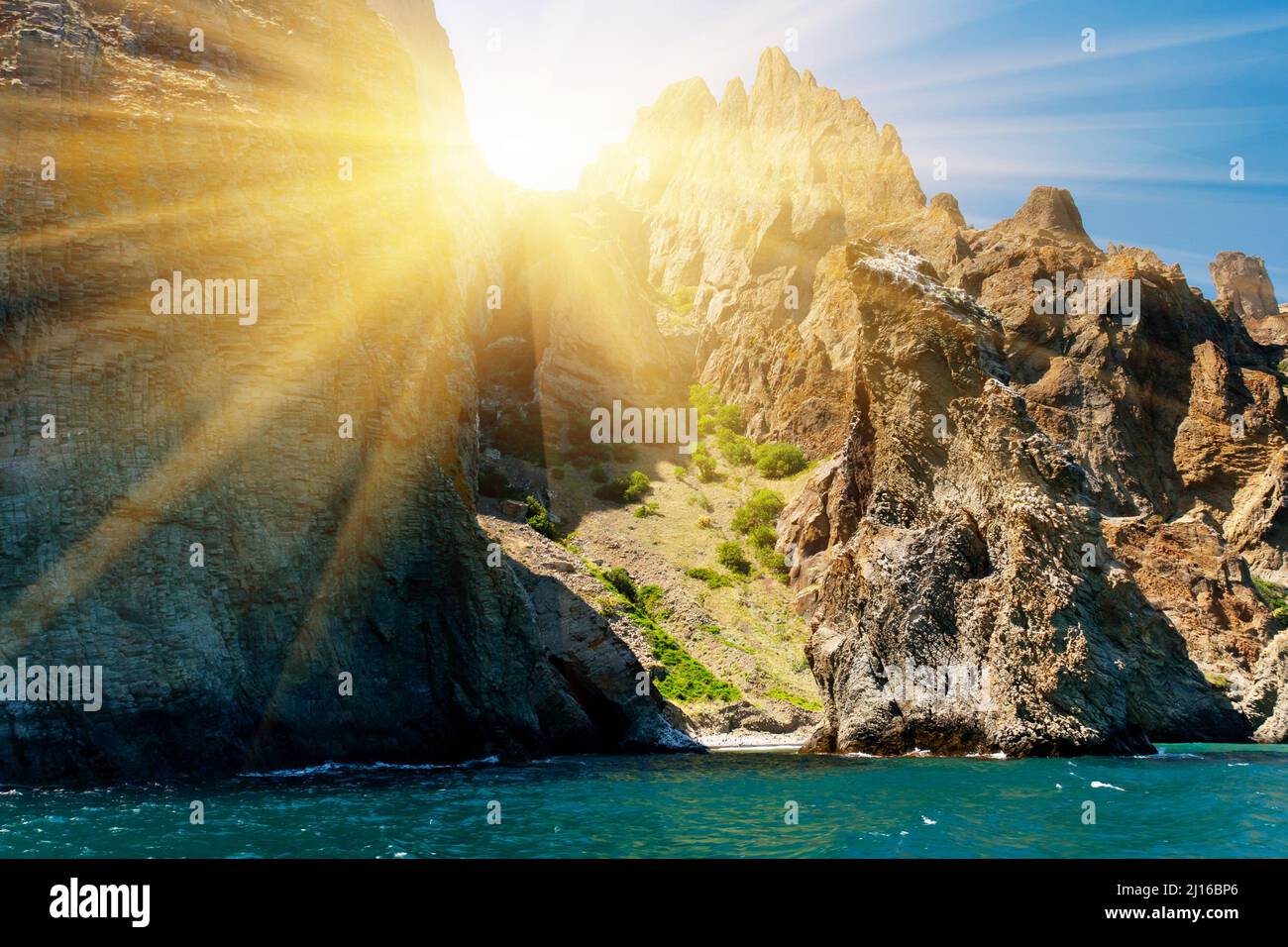 Seaside wildlife nature hi-res stock photography and images - Alamy