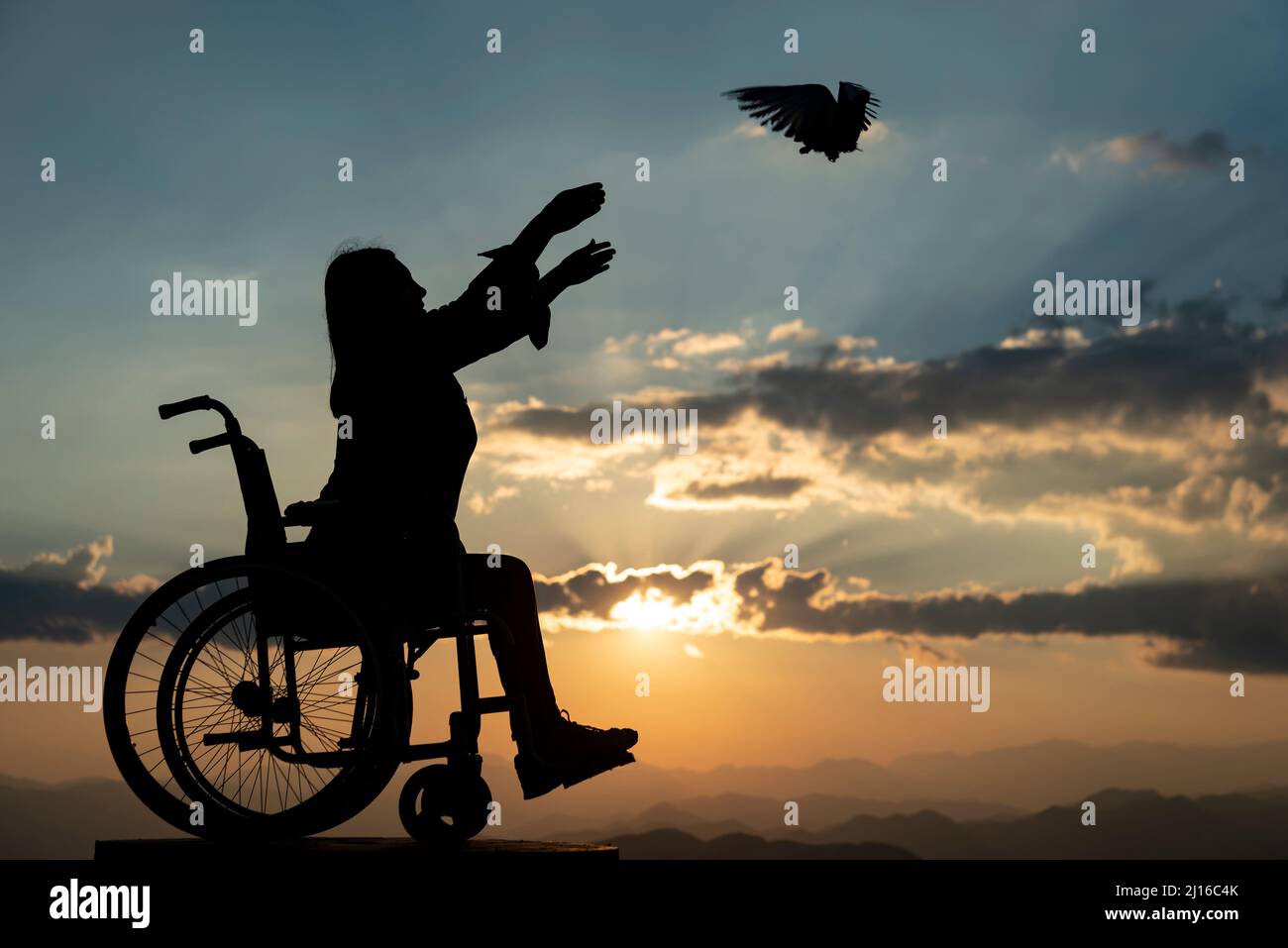 liberation movement of the disabled person Stock Photo - Alamy