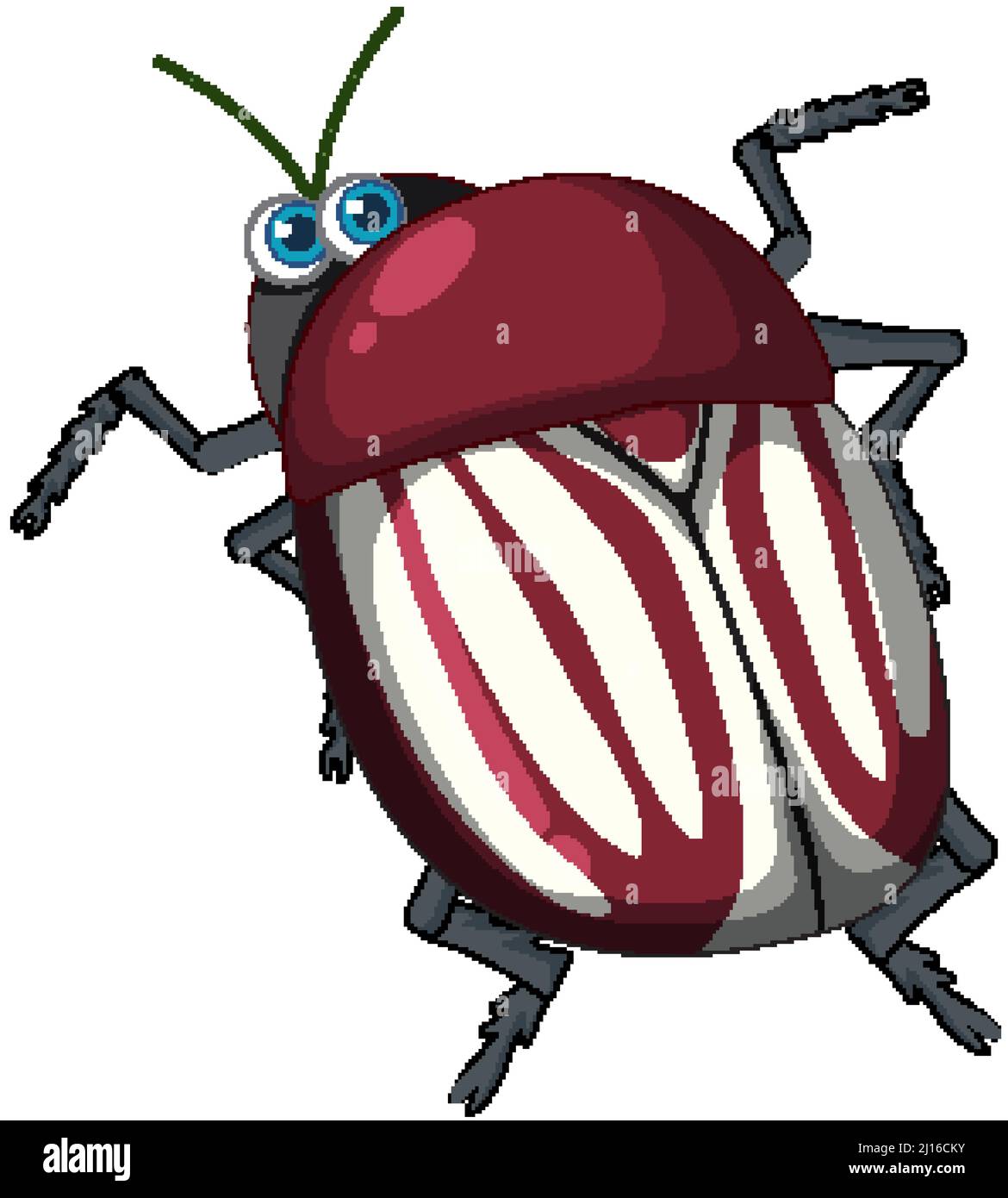 A beetle cartoon character isolated illustration Stock Vector Image ...