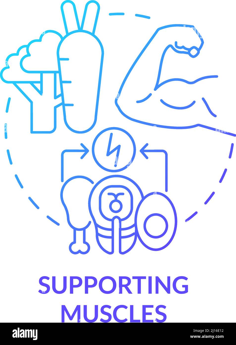 Supporting muscles blue gradient concept icon Stock Vector Image & Art ...