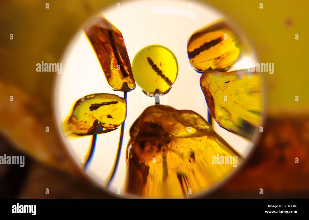 Fragments of amber close-up. Natural amber with pieces of antiquities ...