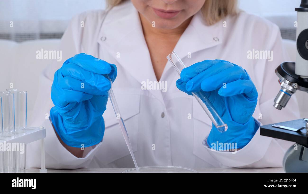 female scientist laboratory assistant uses micropipettes to fill test ...