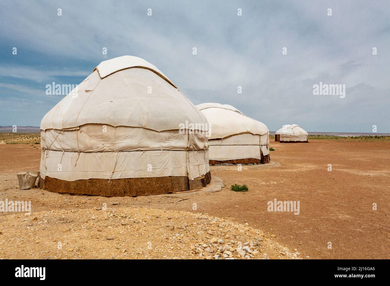 Yurt campsite in the Kyzylkum desert in Northern Uzbekistan, Central ...