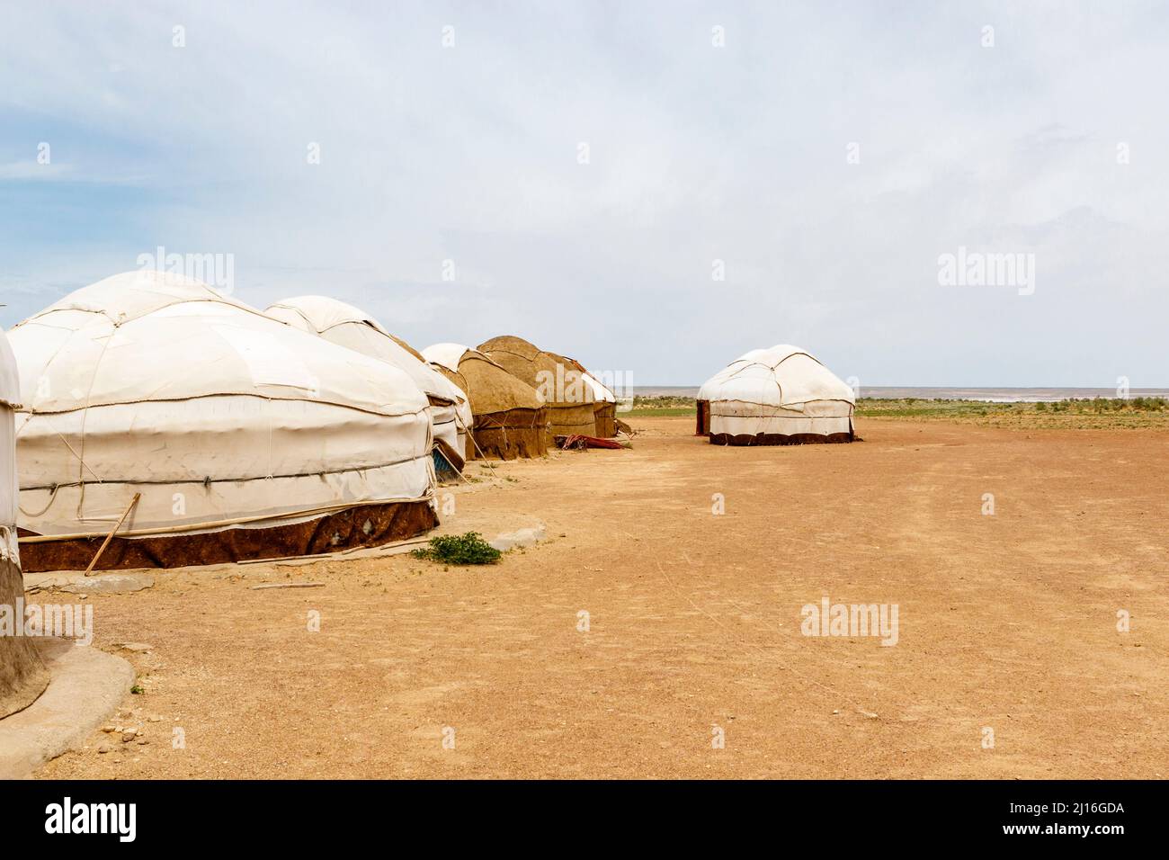Yurt campsite in the Kyzylkum desert in Northern Uzbekistan, Central ...
