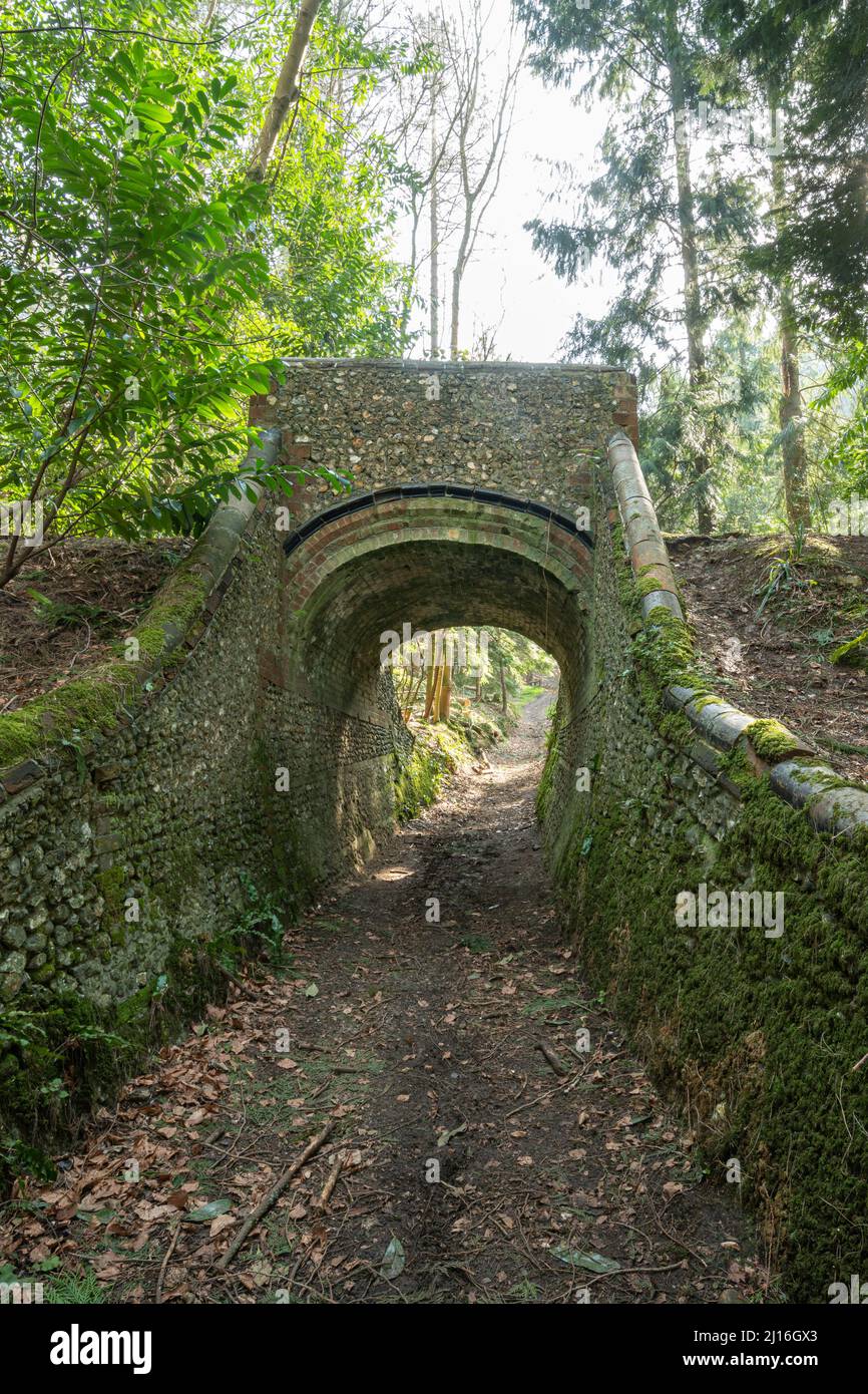 Woodland bridge in one hi-res stock photography and images - Alamy
