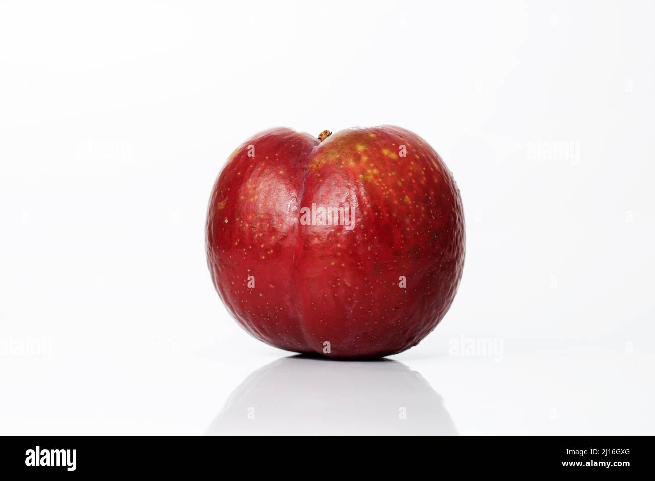 Ripe plum isolated on white background with shadow and reflection ...