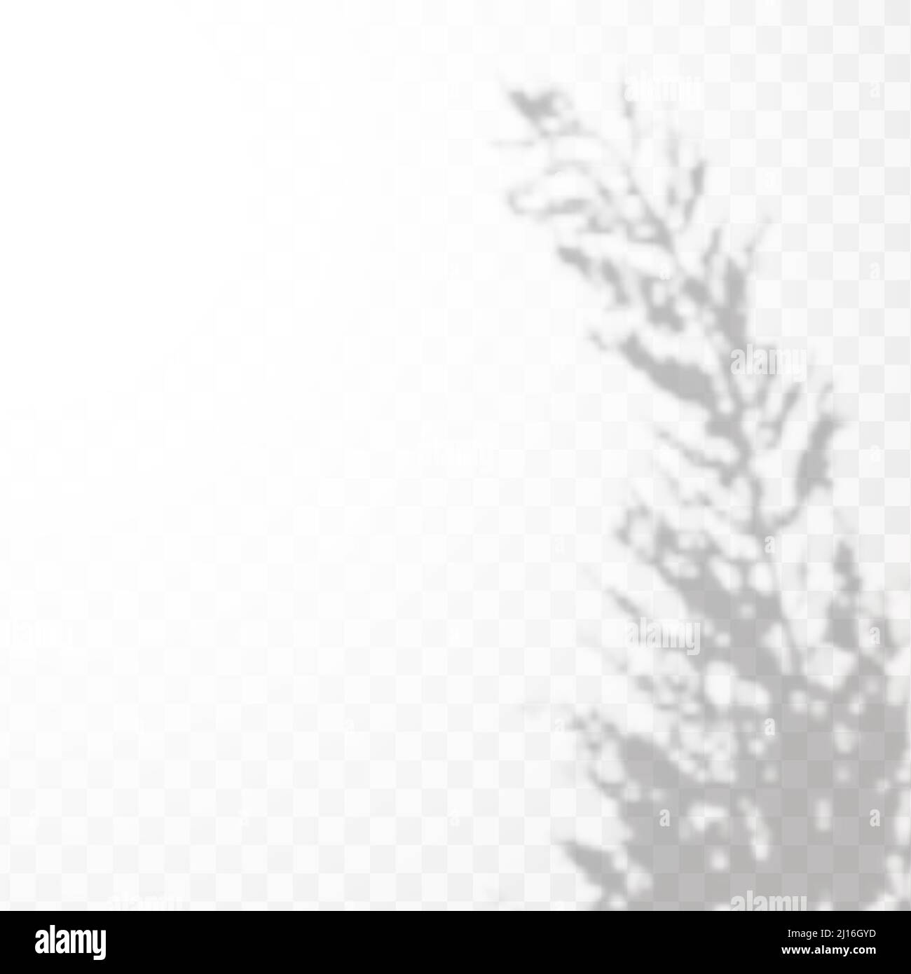 The effect of overlaying shadows. Natural light layout.Realistic shadow ...
