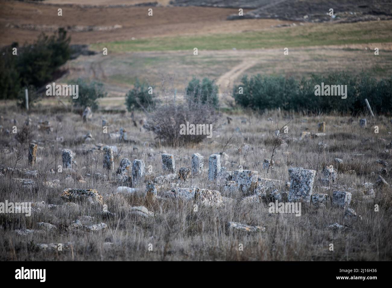 Muslim tom stones in an ancient abandoned cemetery Stock Photo - Alamy