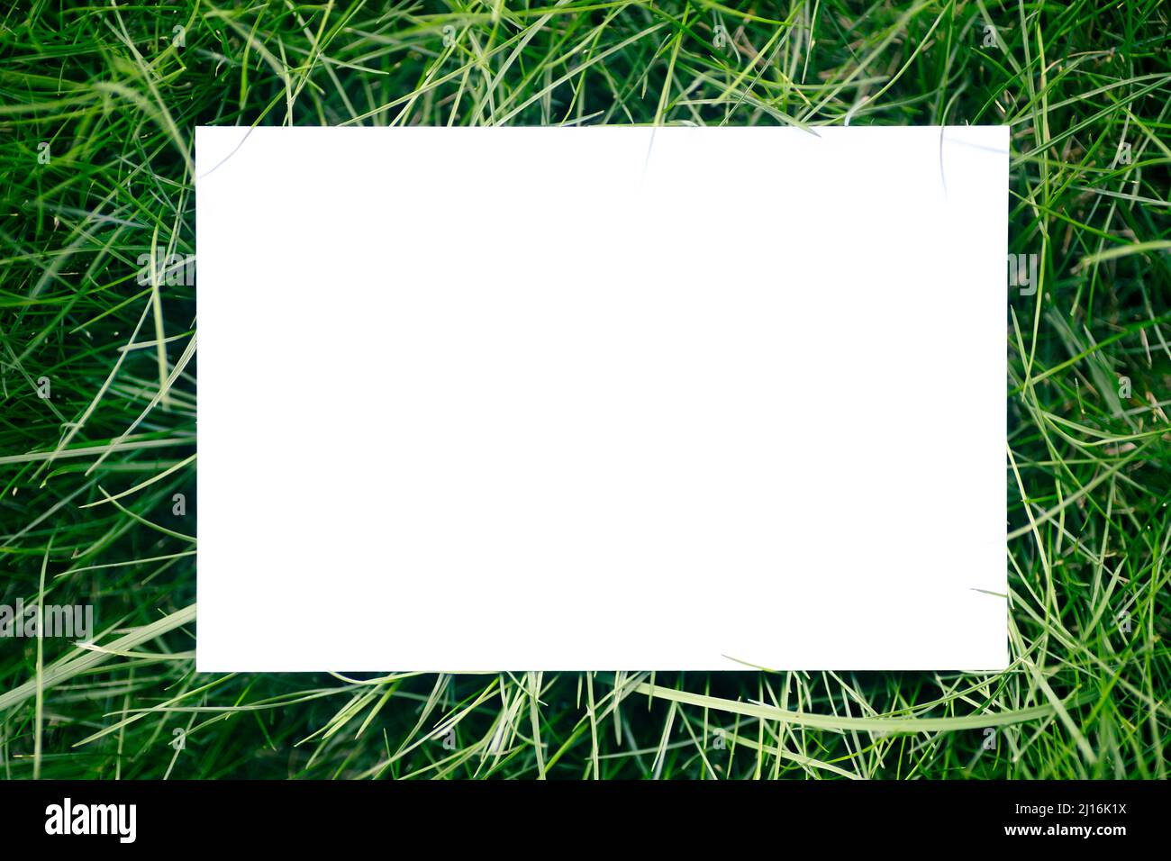 Paper grass texture hi-res stock photography and images - Alamy