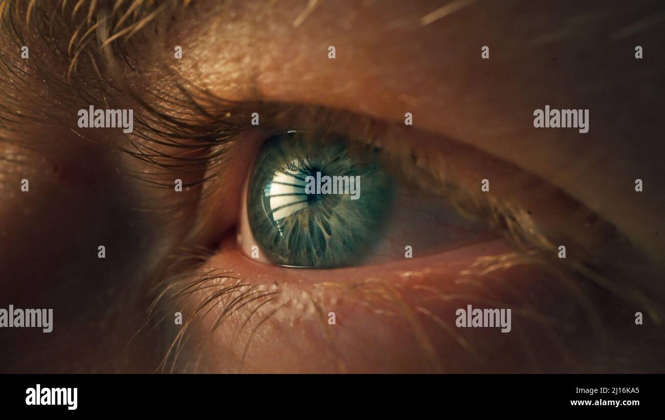 Macro shot of man's eye. Young man working on computer. Concentrated ...
