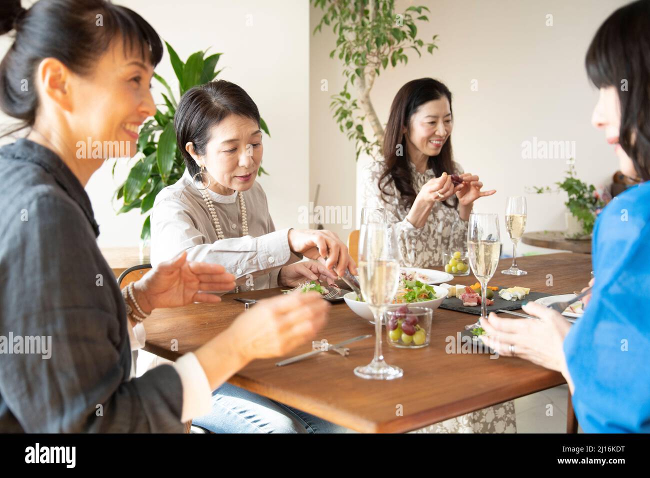 Women Having Party Stock Photo - Alamy