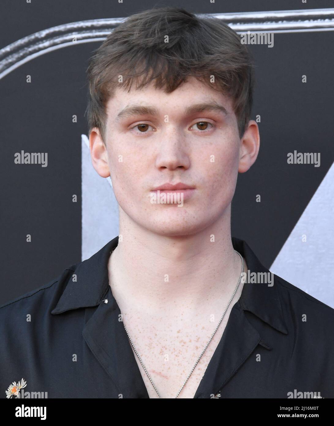 Los Angeles, USA. 22nd Mar, 2022. Matt Lintz arrives at Marvel Studios ...