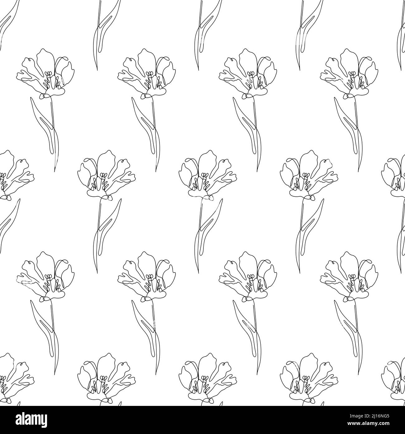 Monochrome seamless pattern with single line tulip flowers drawings ...