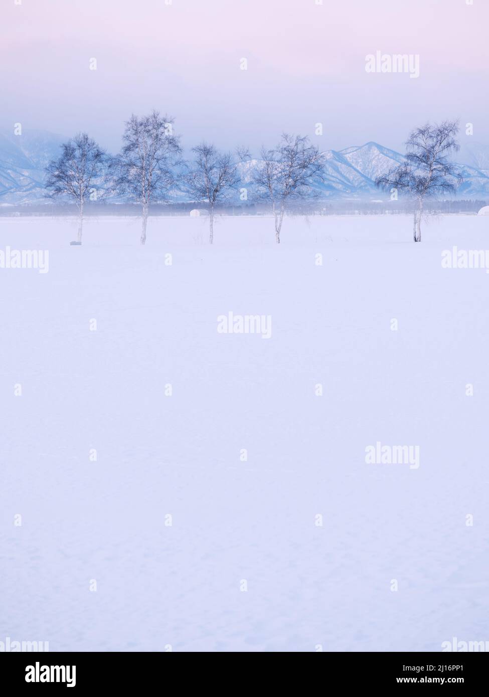 Tokachi plain hi-res stock photography and images - Alamy