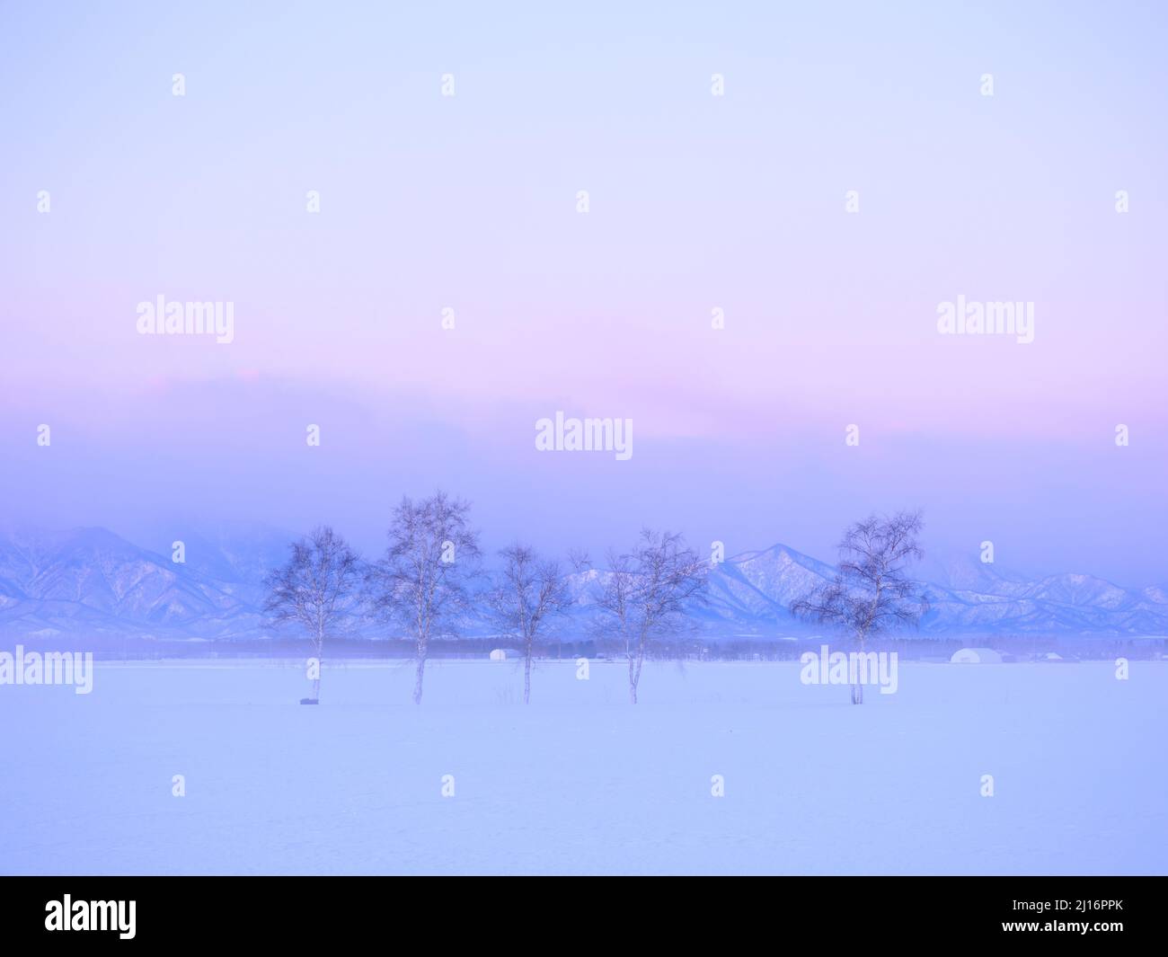 Tokachi Plain in Winter Stock Photo - Alamy