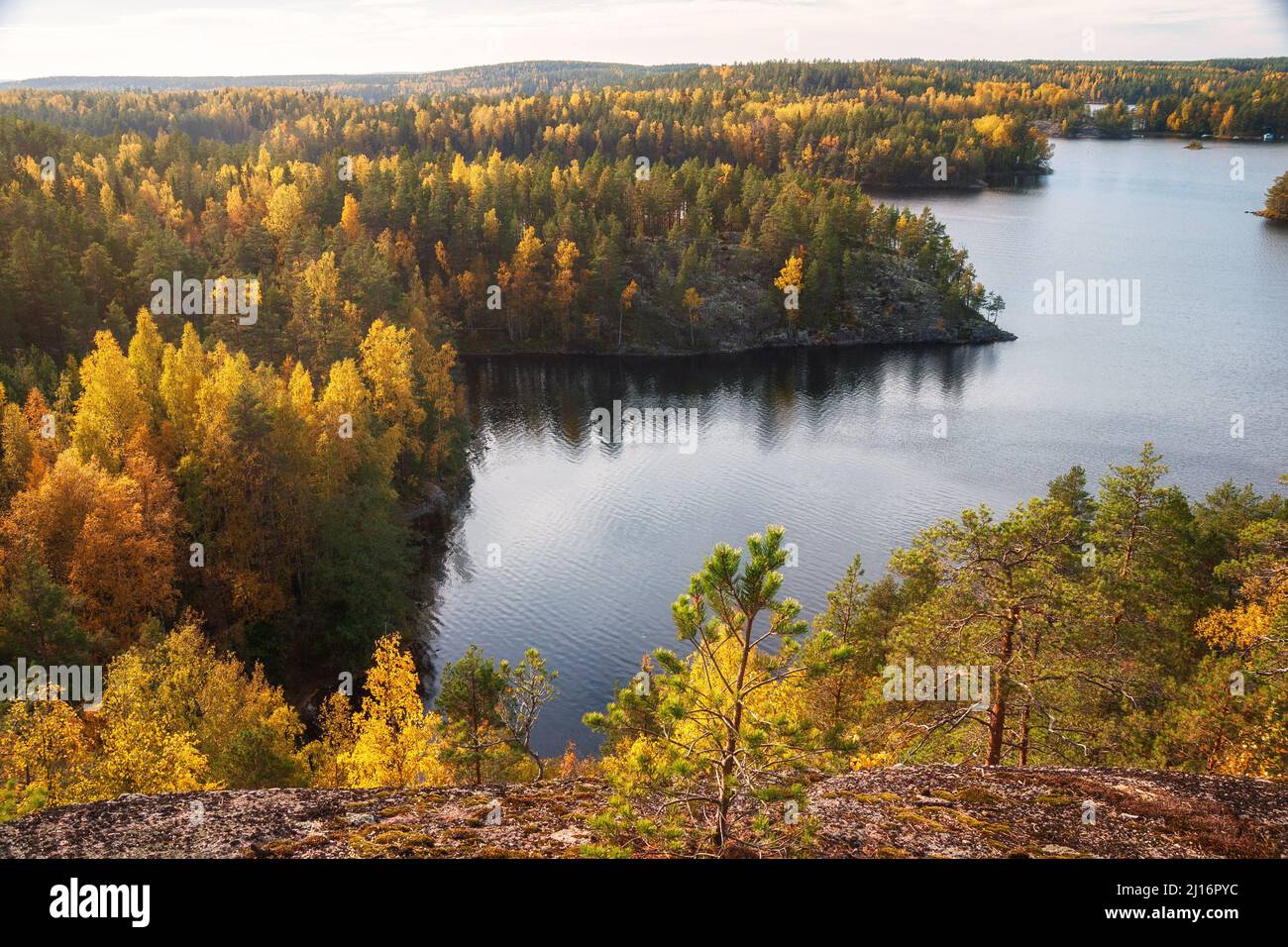 Beautiful autumn landscape. Forests and lakes of Southern Finland ...