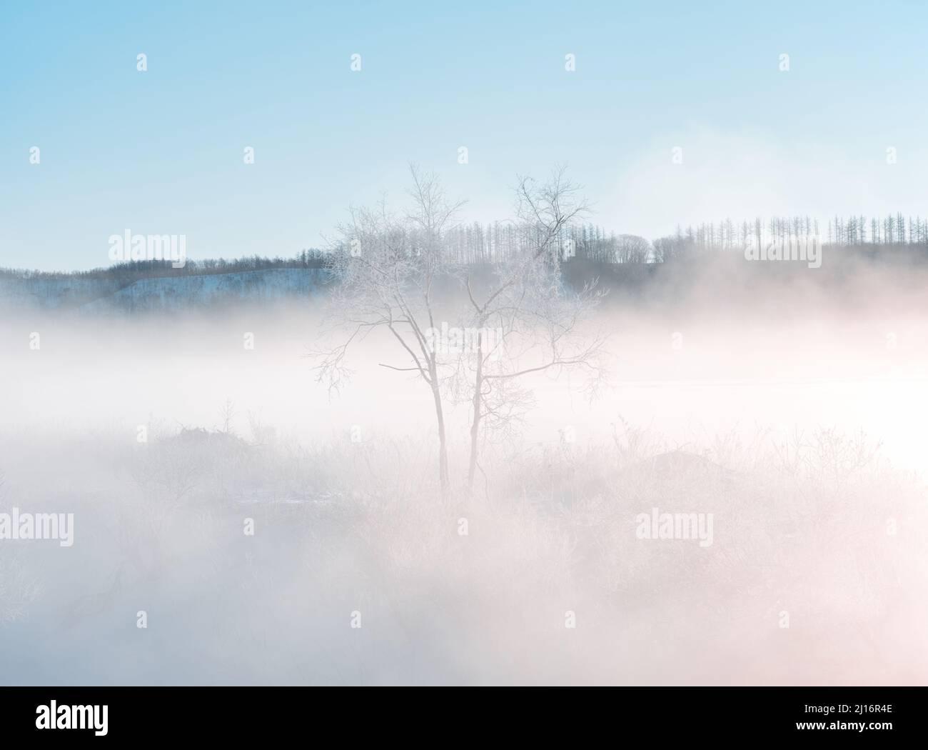 Freezing Fog in Steam Fog Stock Photo - Alamy