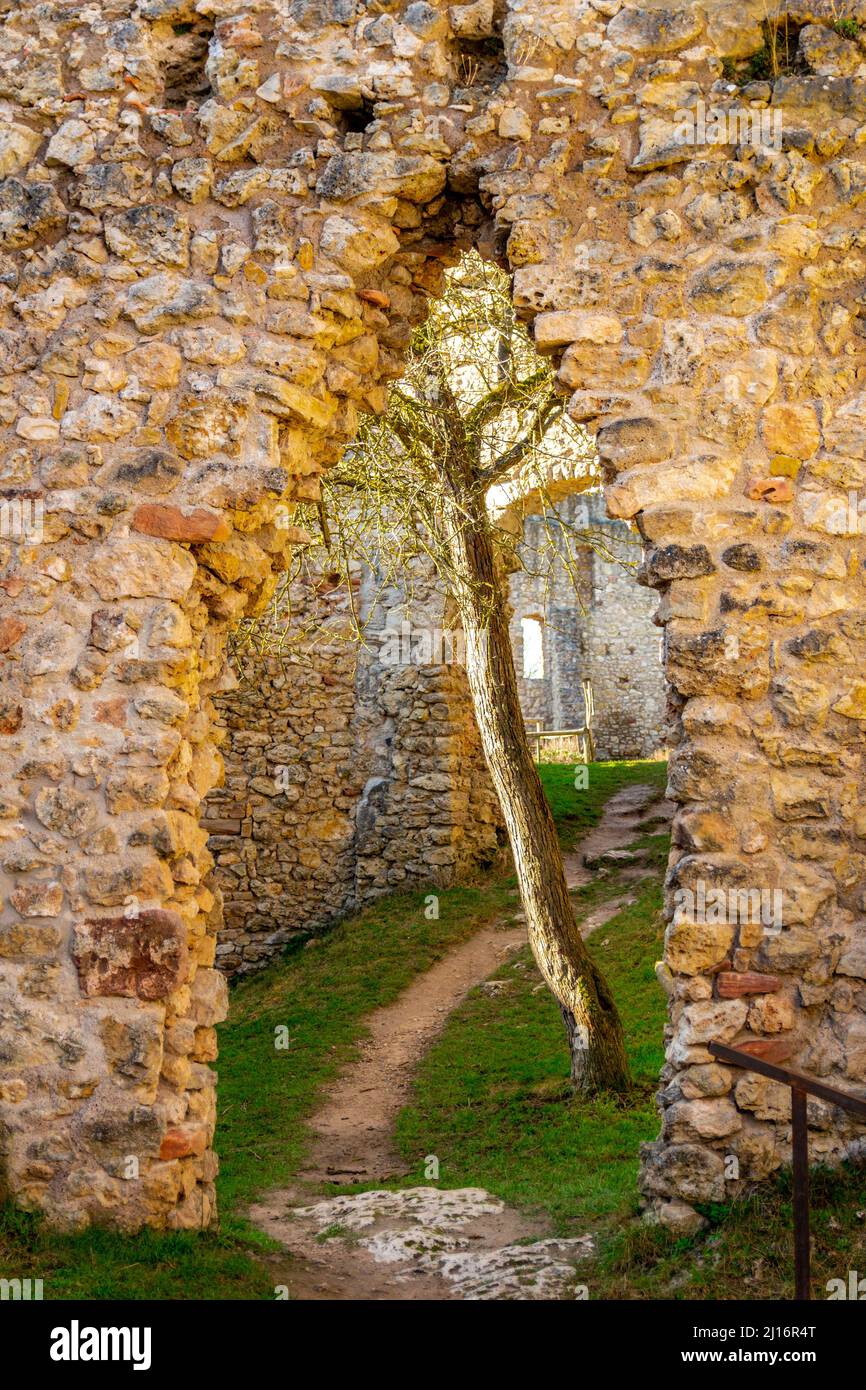 Spring walk around the Brandenburg castle ruins in the beautiful Werra ...