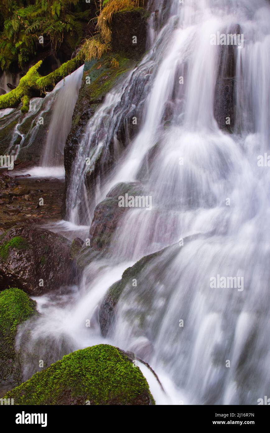 Spring Water in Kikuchi Gorge, Kumamoto Prefecture, Japan Stock Photo ...